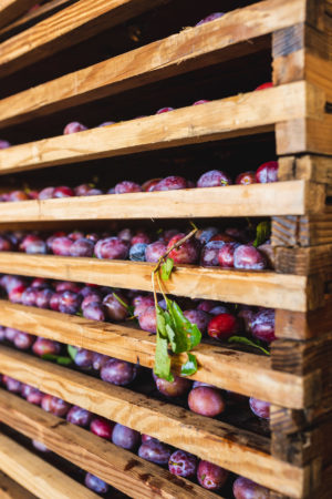 Why You Should Eat More California Prunes (& How to Get them in your Diet)