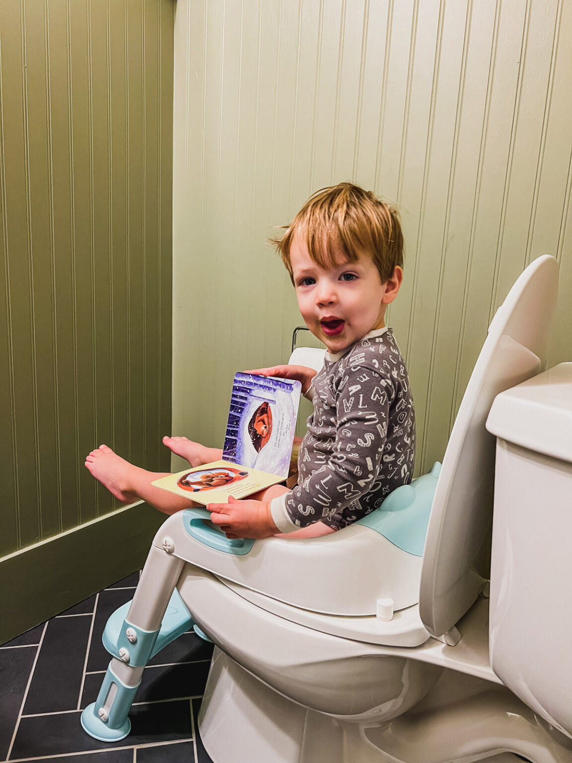 How to: Potty Training Boys